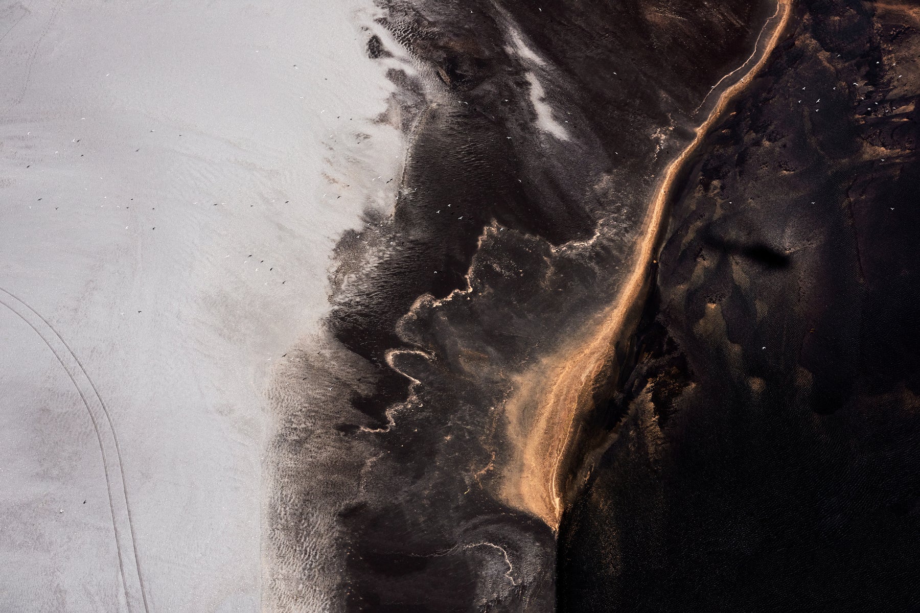 Brooke Holm. Mineral Matter VI. – Vital Impacts